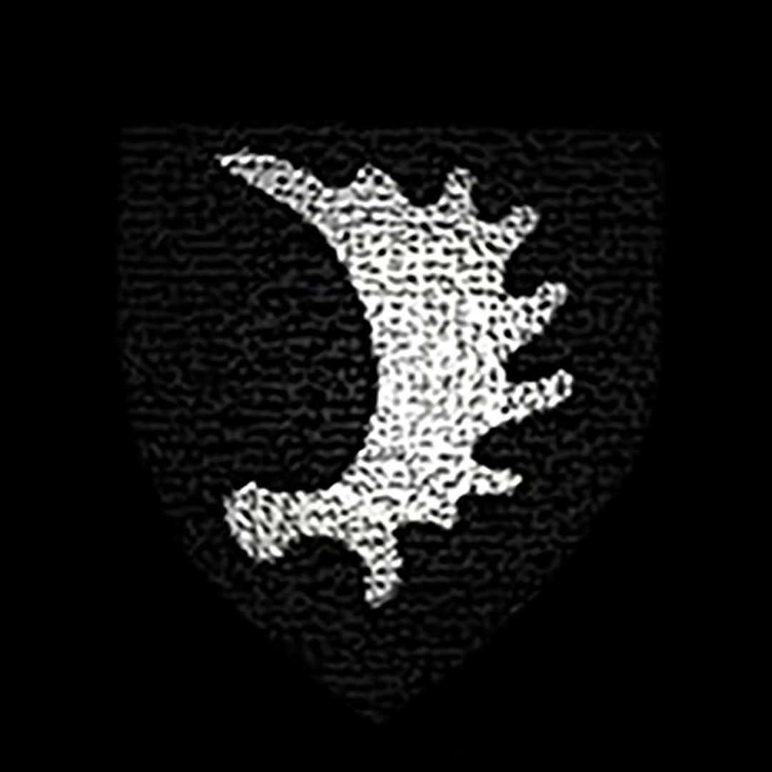 Teutonic Knights and their descendants, the Baltic Germans, prospered ...